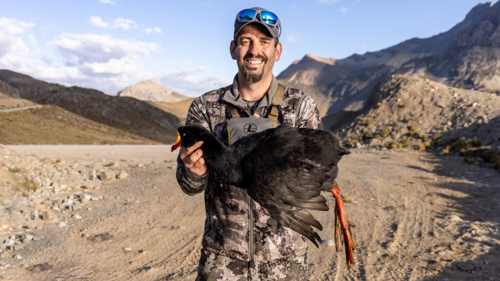 South America Waterfowl Slam - Mark Peterson